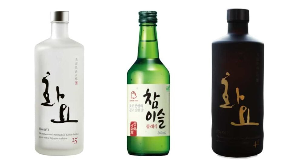 Le Soju : tout savoir sur l'alcool emblématique coréen